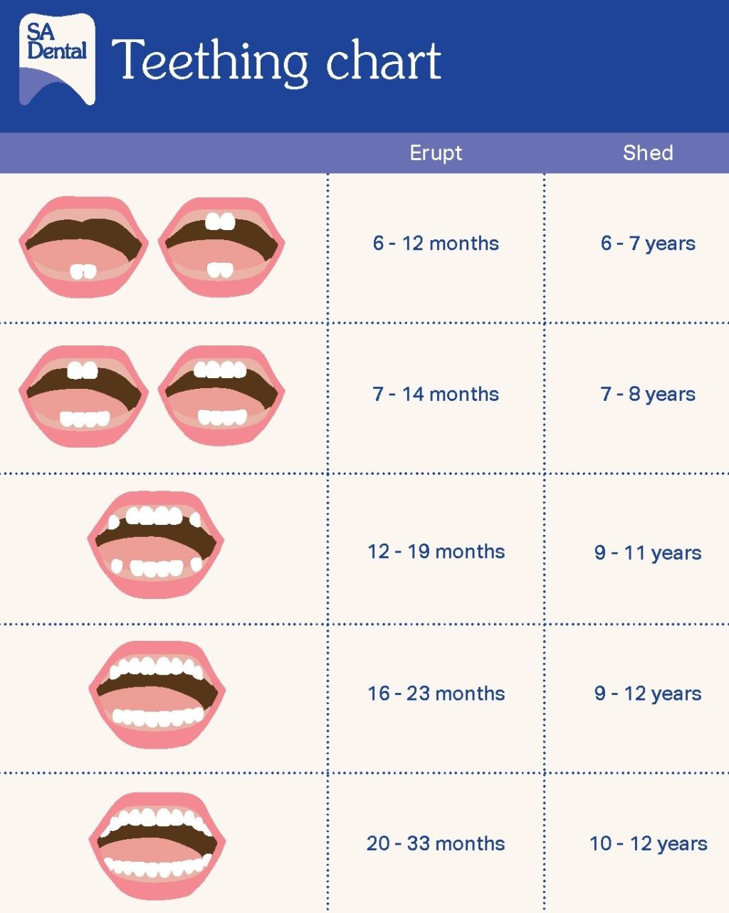 Baby teeth and teething • SA Dental