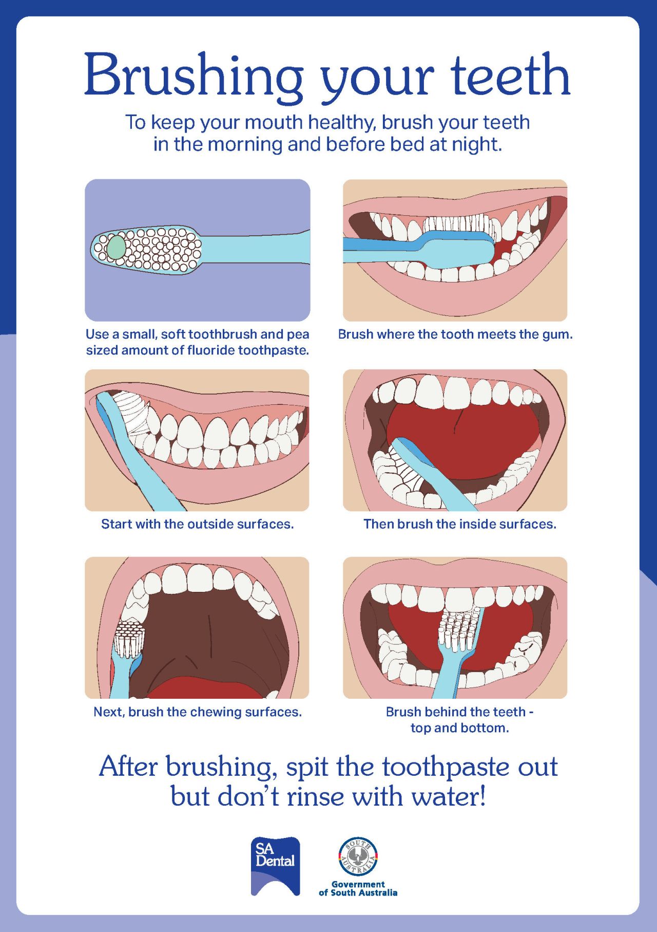 A guide to brushing your teeth • SA Dental
